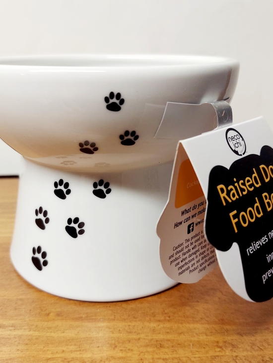 Chewy | Dog | Necoichi Raised Small Dog Food Ceramic Bowl White With ...